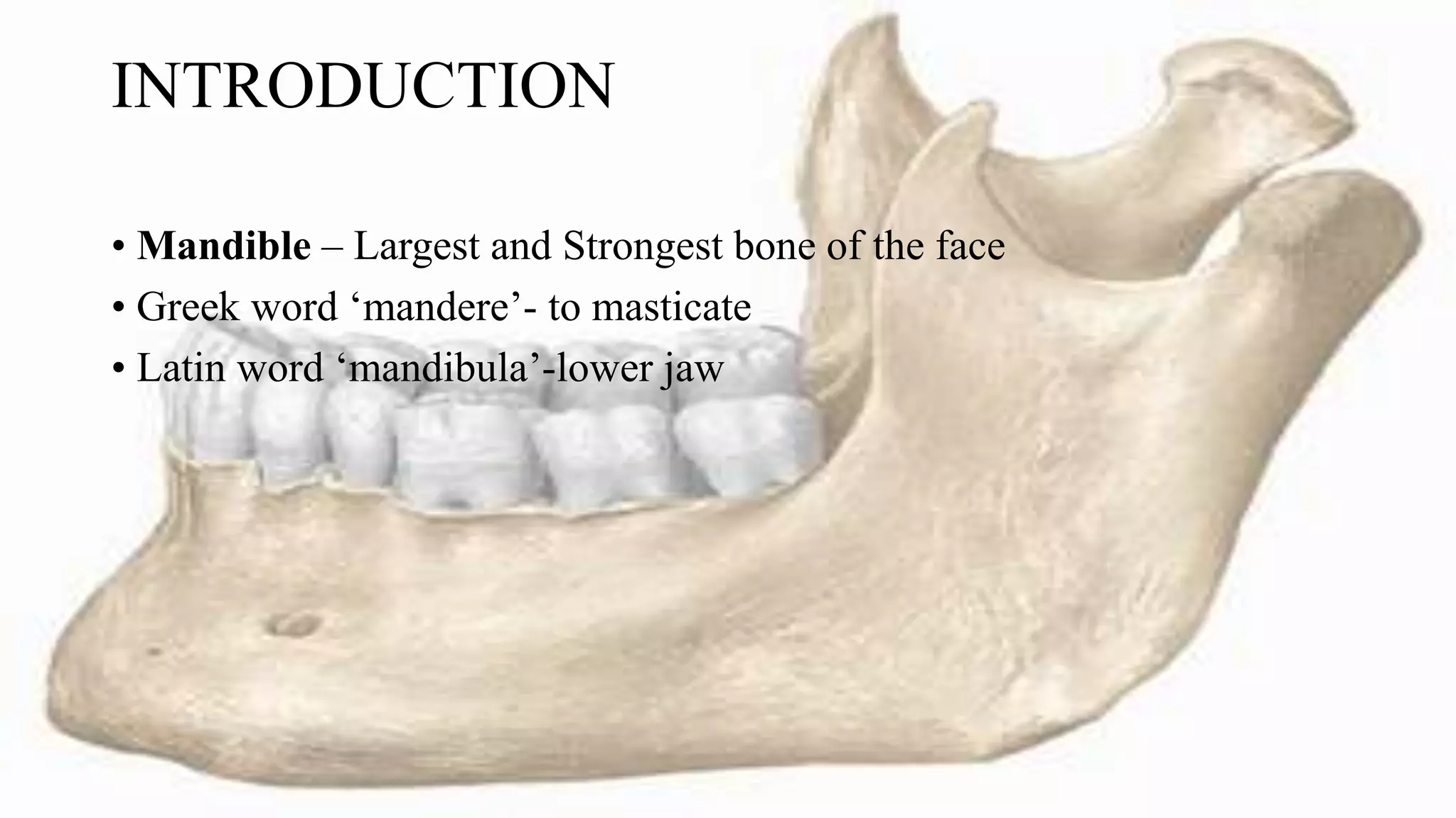 Development of mandible - Dr. Shweta Yadav - Oral and Maxillofacial ...