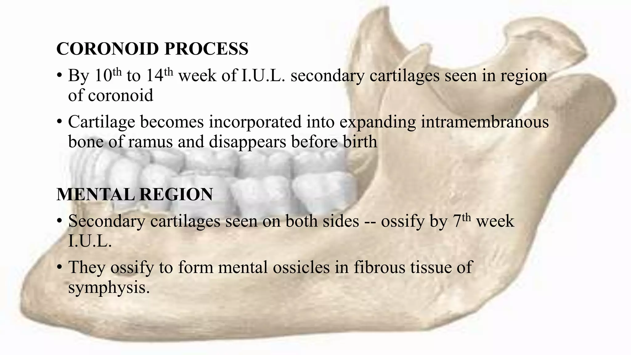 Development of mandible - Dr. Shweta Yadav - Oral and Maxillofacial Surgery | PPTX | Bone and ...