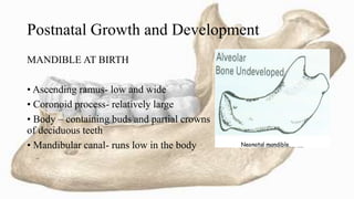 Development of mandible - Dr. Shweta Yadav - Oral and Maxillofacial ...