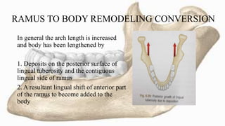 Development of mandible - Dr. Shweta Yadav - Oral and Maxillofacial ...