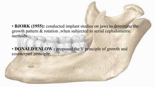 Development of mandible - Dr. Shweta Yadav - Oral and Maxillofacial ...