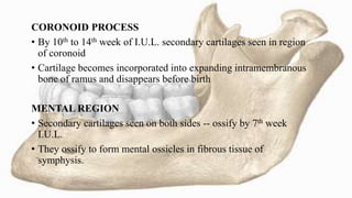 Development of mandible - Dr. Shweta Yadav - Oral and Maxillofacial ...
