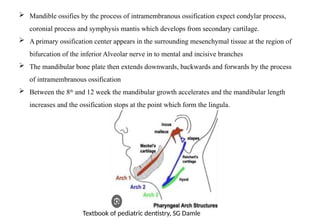 DEVELOPMENT OF MANDIBLE seminar presentation | PPTX