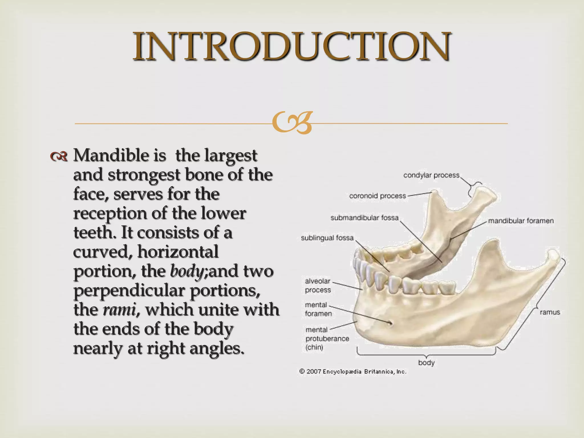 Development of mandible ppt | PPTX