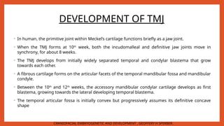 DEVELOPMENT OF MANDIBLE IN HUMANS 123.tx