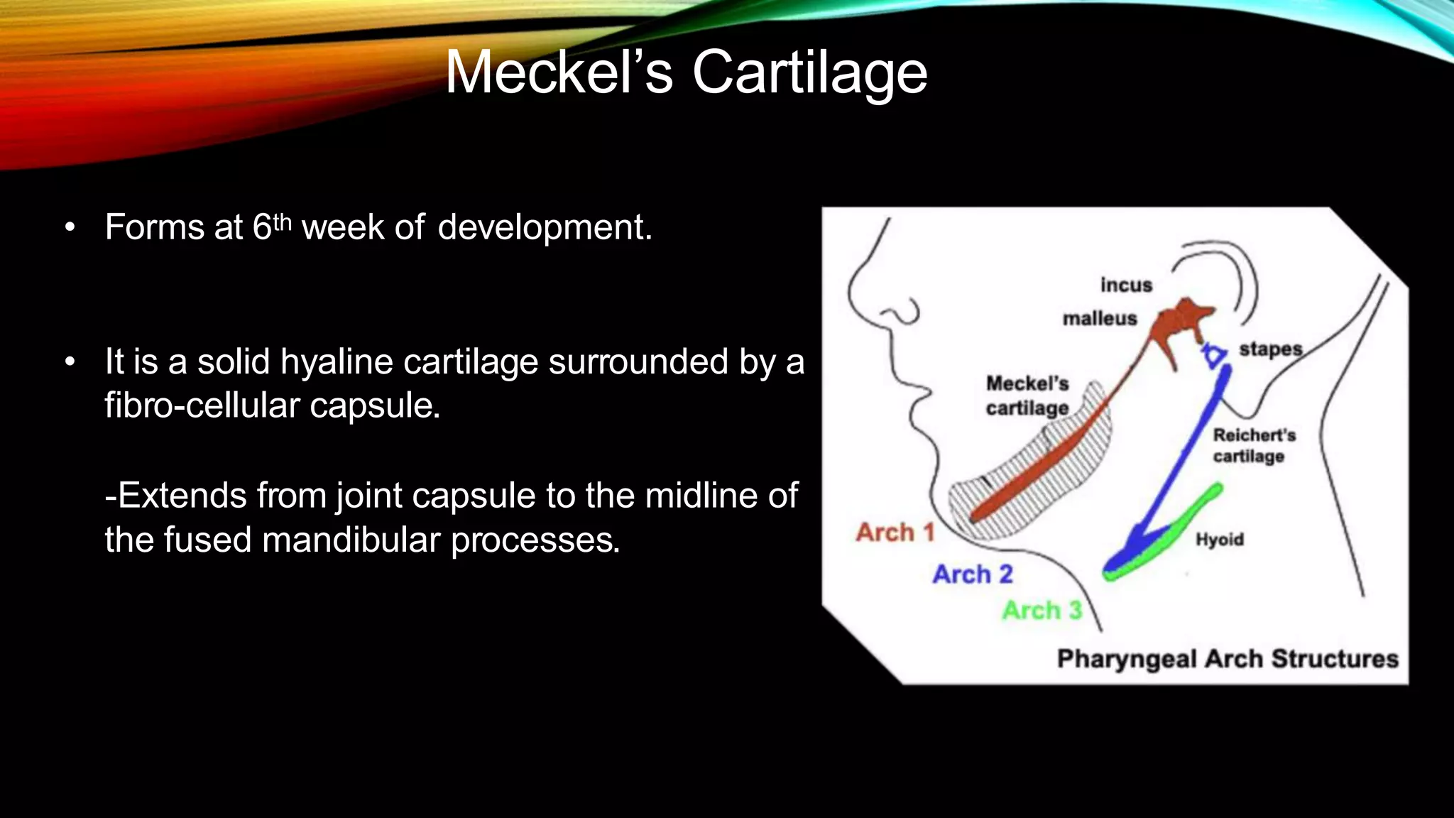 Development of mandible by muaviya | PPTX