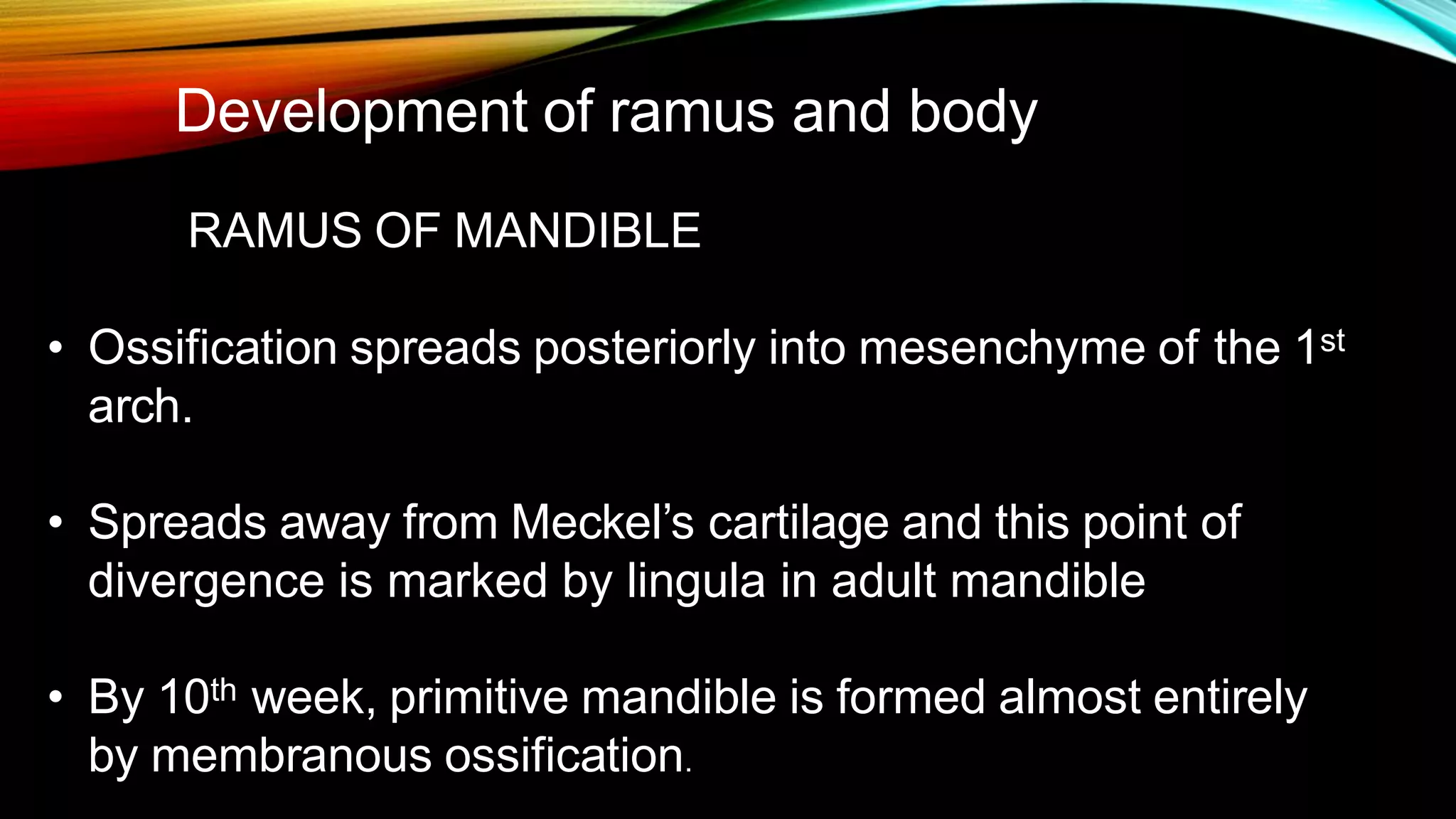 Development of mandible by muaviya | PPTX