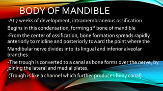 Development of mandible by muaviya | PPTX