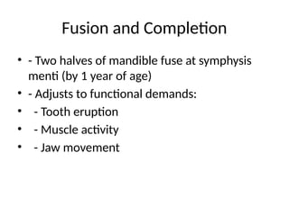 Development_of_Mandible_Presentation.pptx
