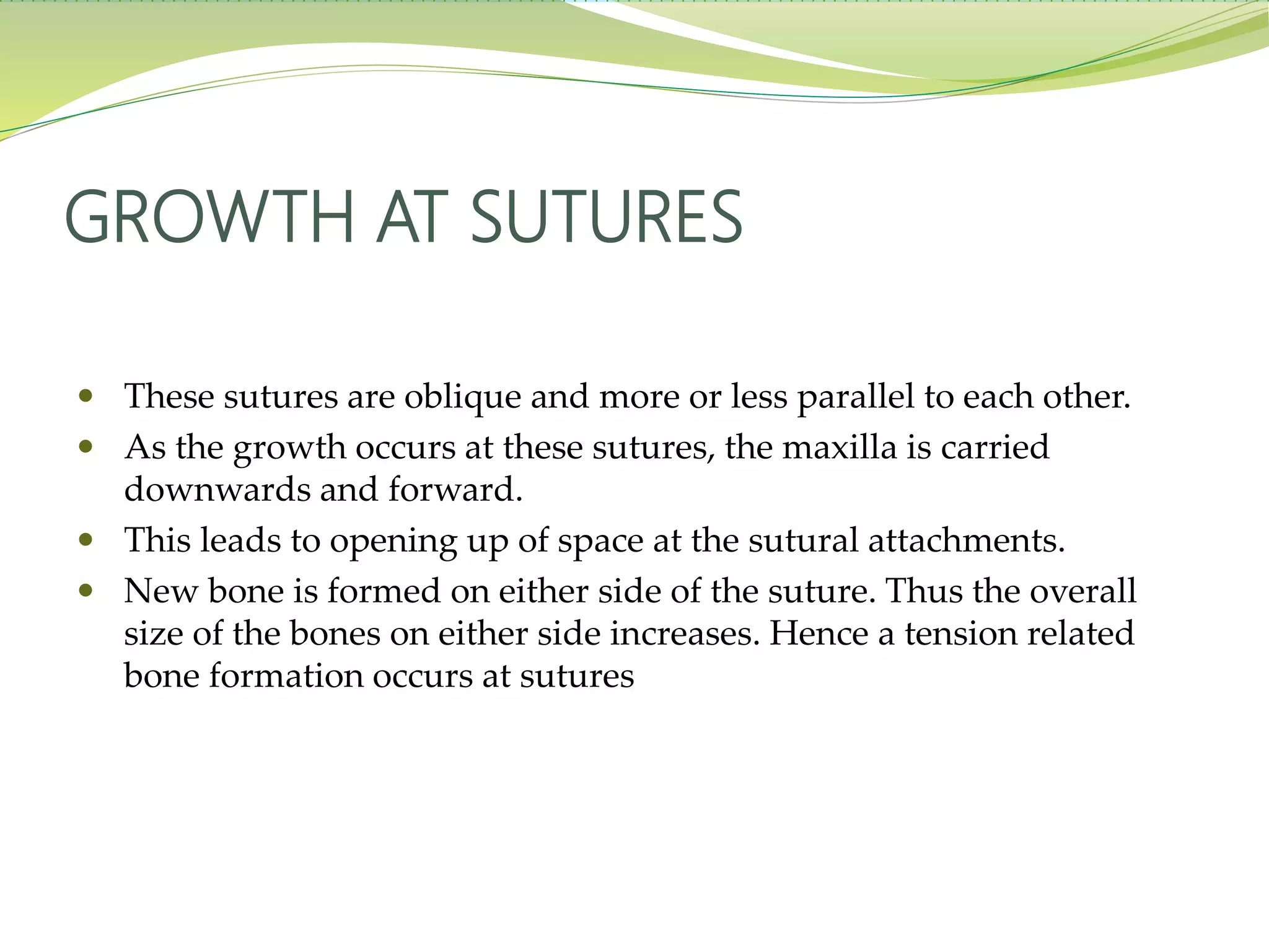Development of maxilla | PPTX