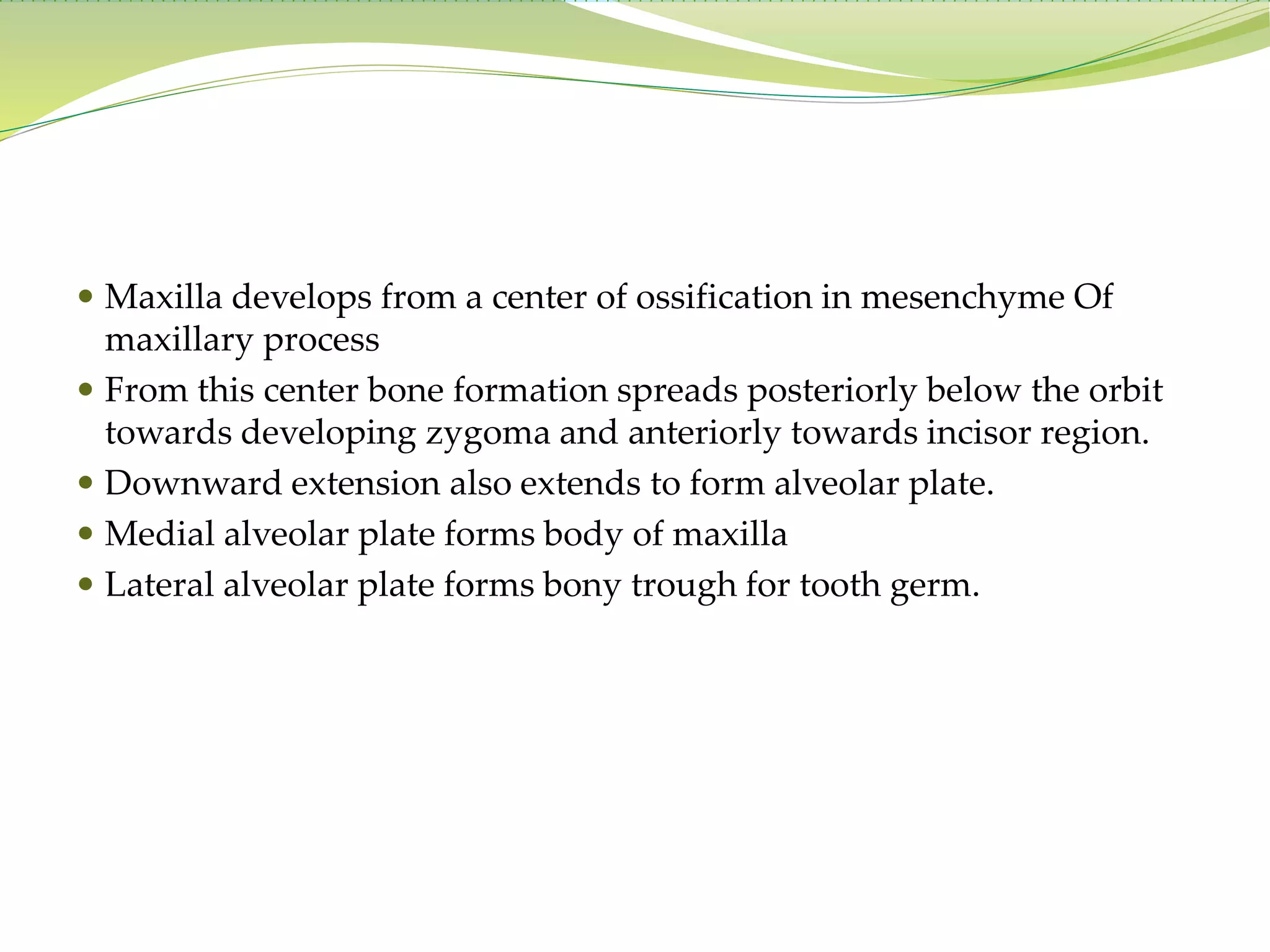 Development of maxilla | PPTX