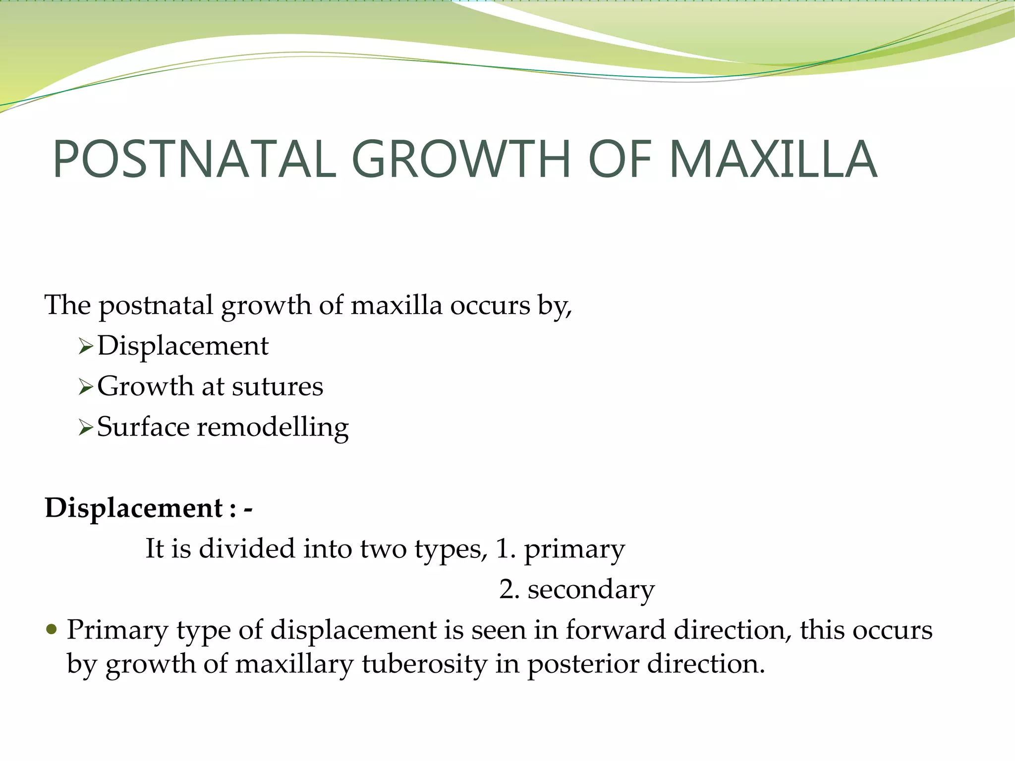 Development of maxilla | PPTX