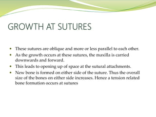 Development of maxilla | PPTX