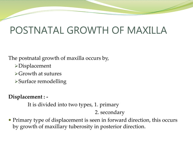 Development of maxilla | PPTX | Pregnancy | Reproductive Health