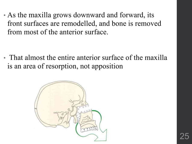 DEVELOPMENT OF MAXILLA with prenatal and postnatal development.pptx ...