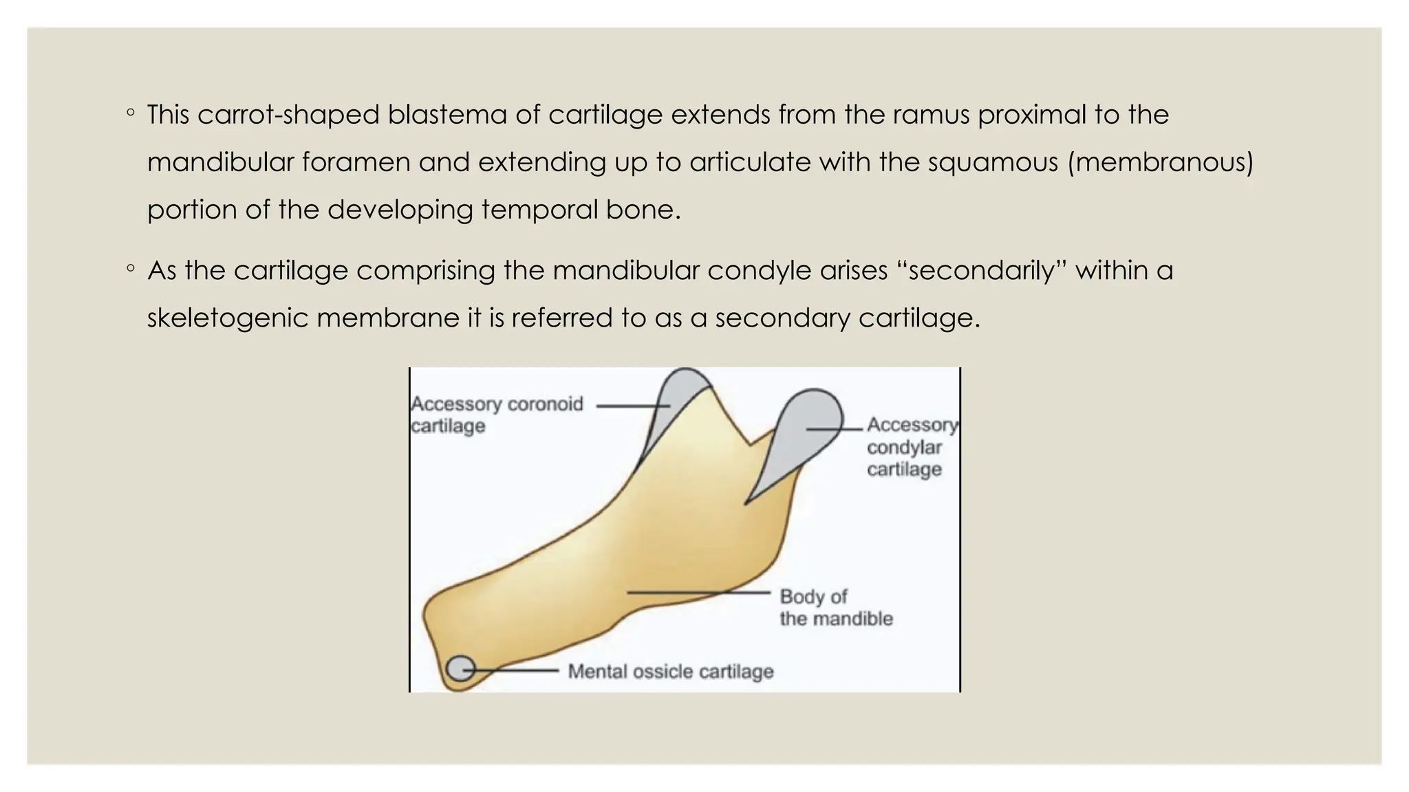 Development of maxilla and mandible.pptx