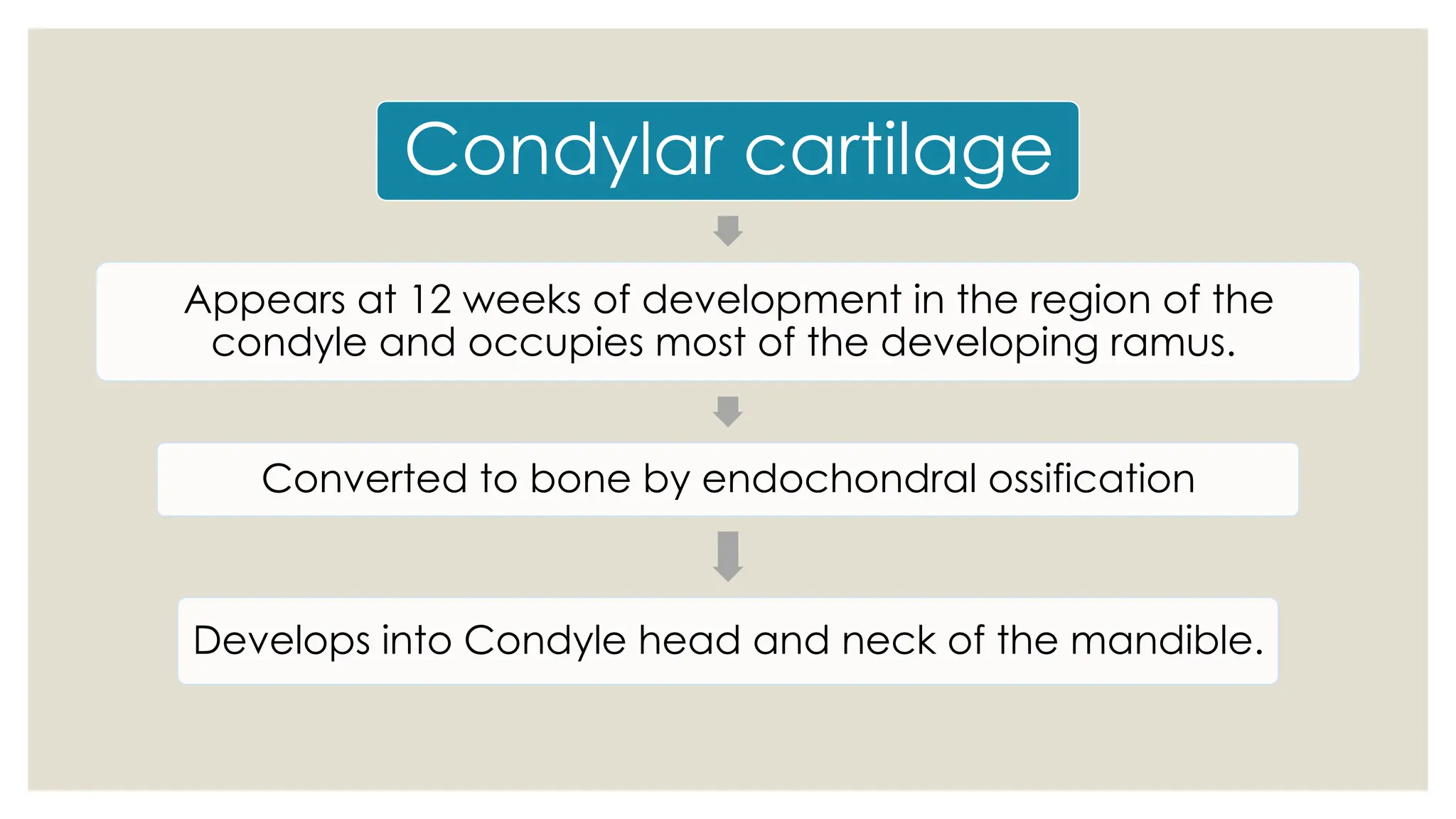 Development of maxilla and mandible.pptx
