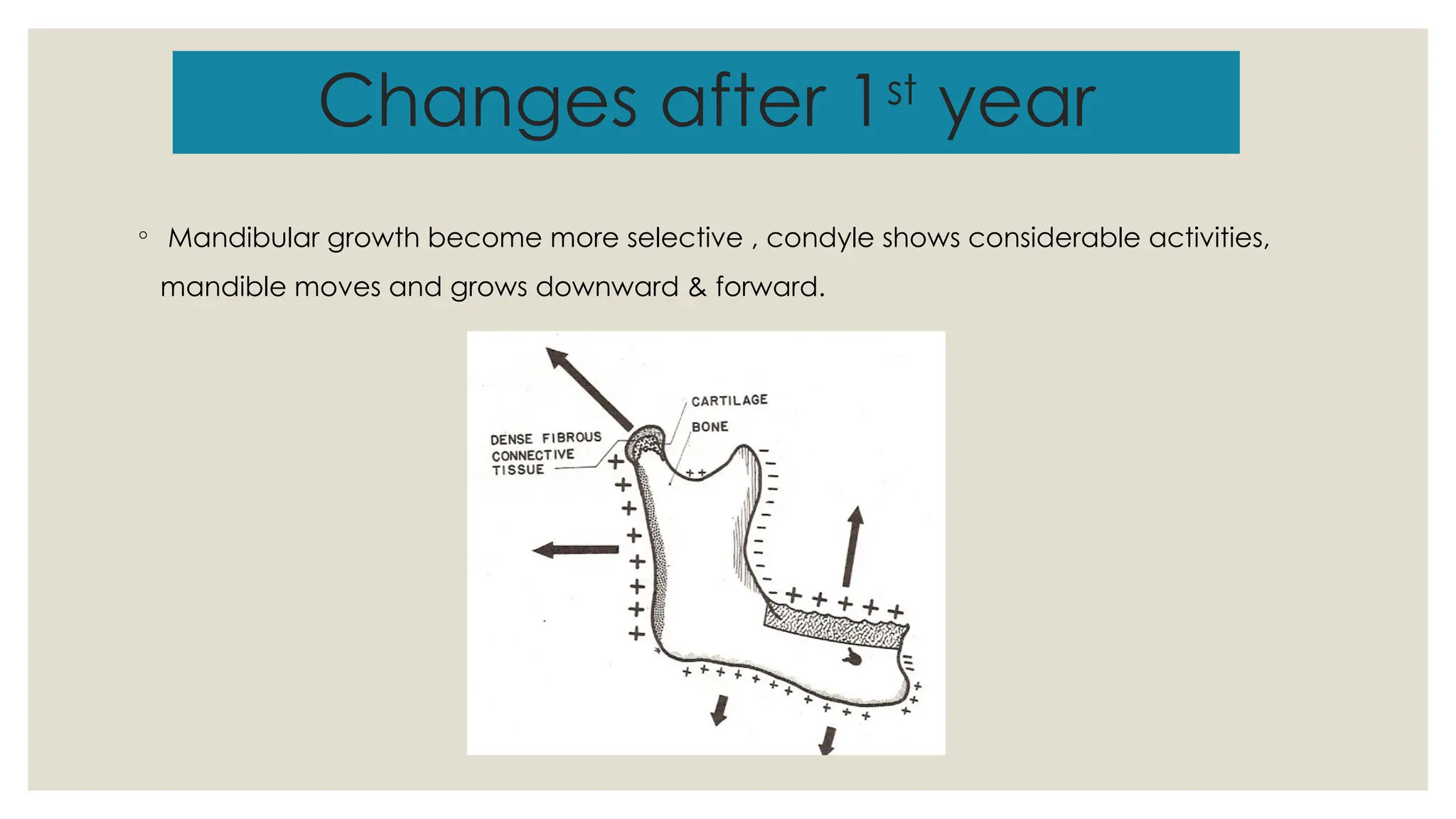 Development of maxilla and mandible.pptx