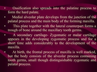 Development of Maxilla and Mandible PDF. | PDF