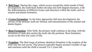 DEVELOPMENT OF MAXILLO – FACIAL AREA AND TEETH.pptx