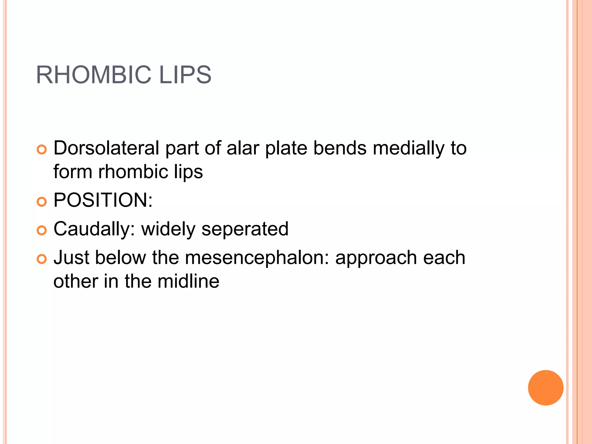 Development of metencephalon | PPTX