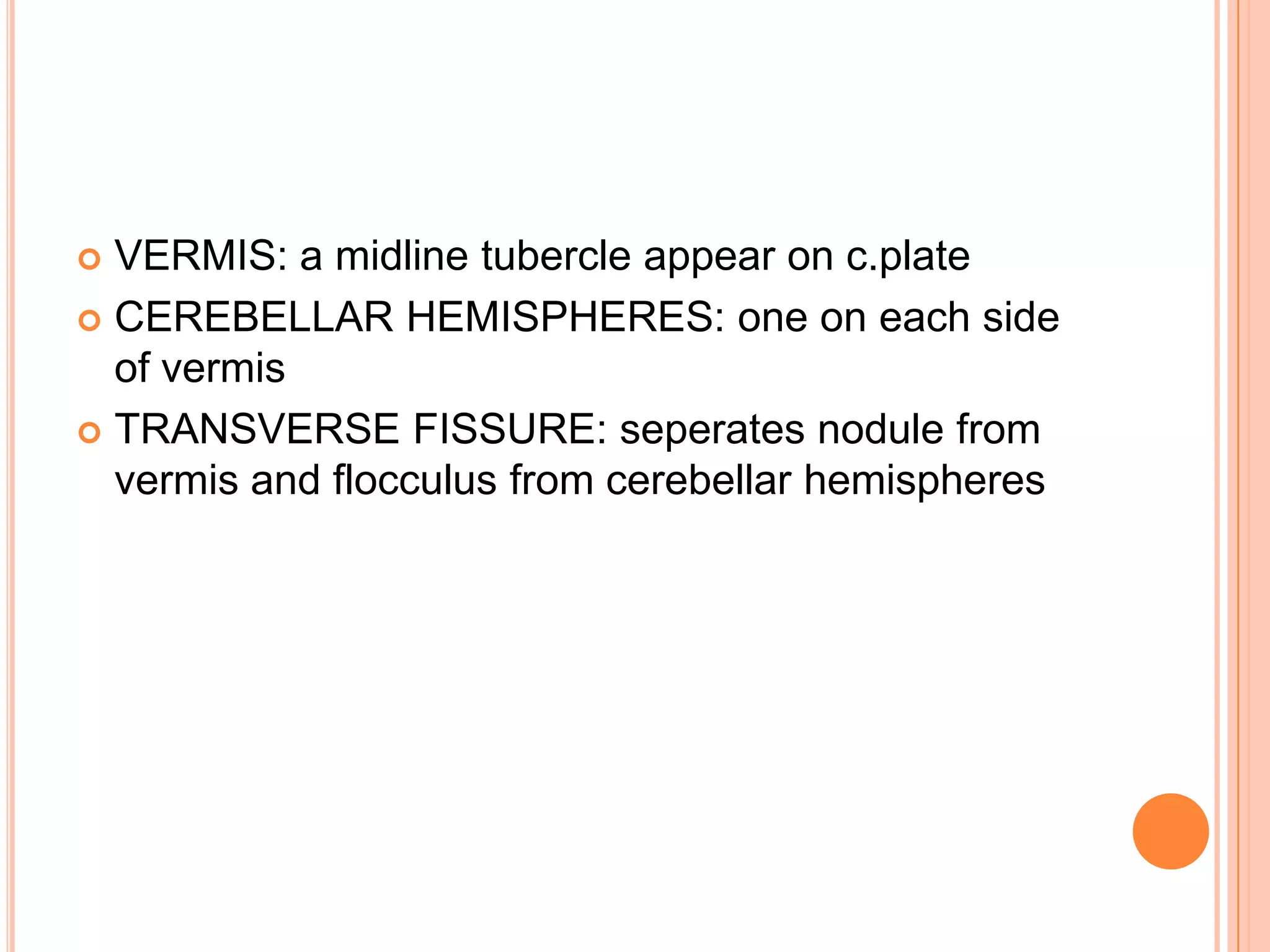 Development of metencephalon | PPTX