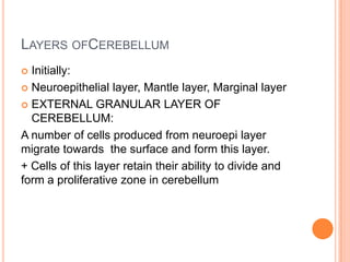 Development of metencephalon | PPTX