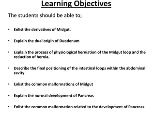 Development of midgut and pancreas | PDF