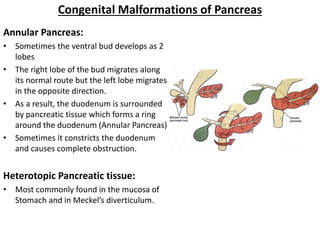 Development of midgut and pancreas | PDF