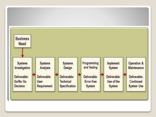 Development of mis | PPTX | Business | Business and Finance