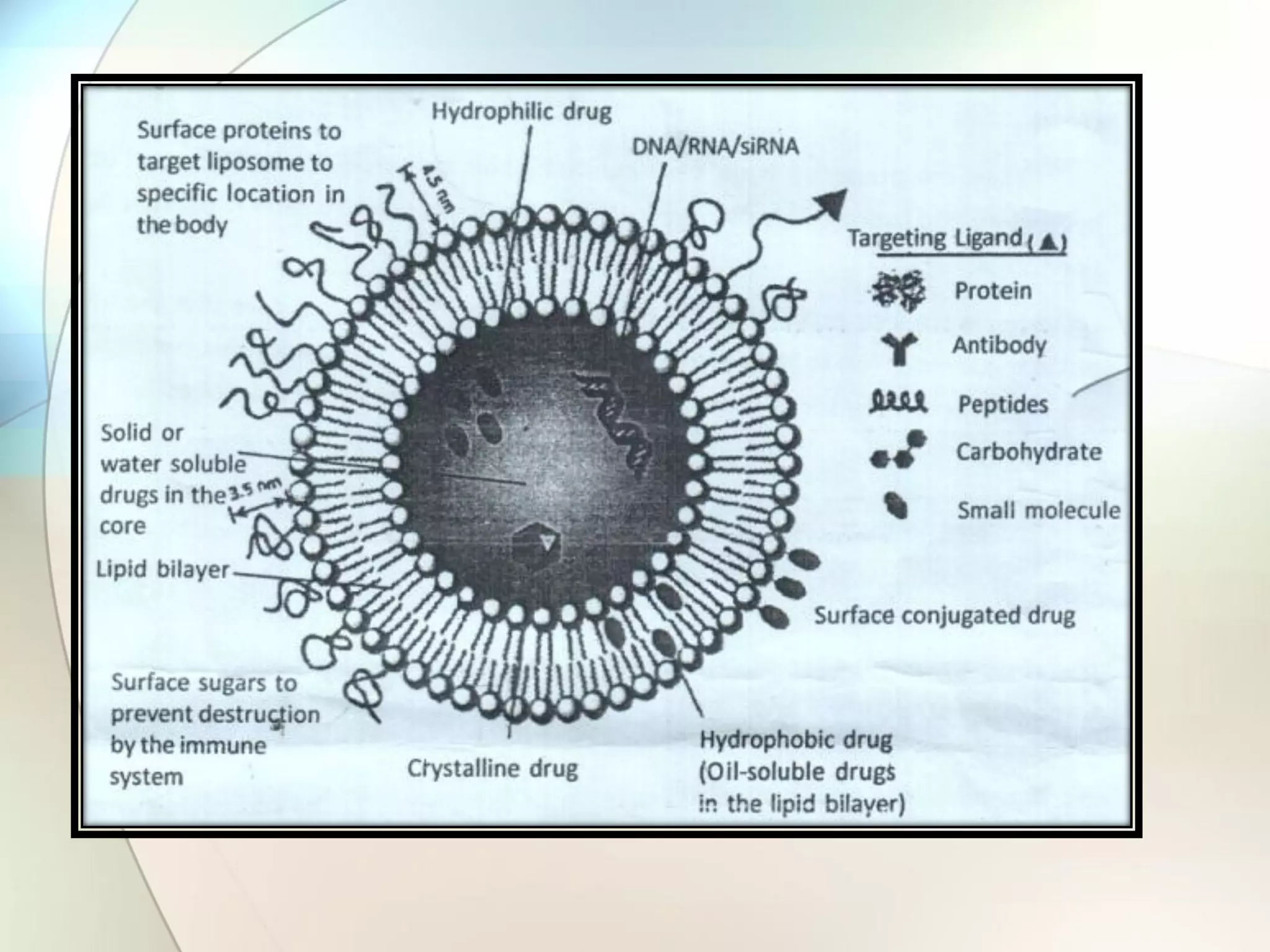 Development of modern drug delivery systems | PPT