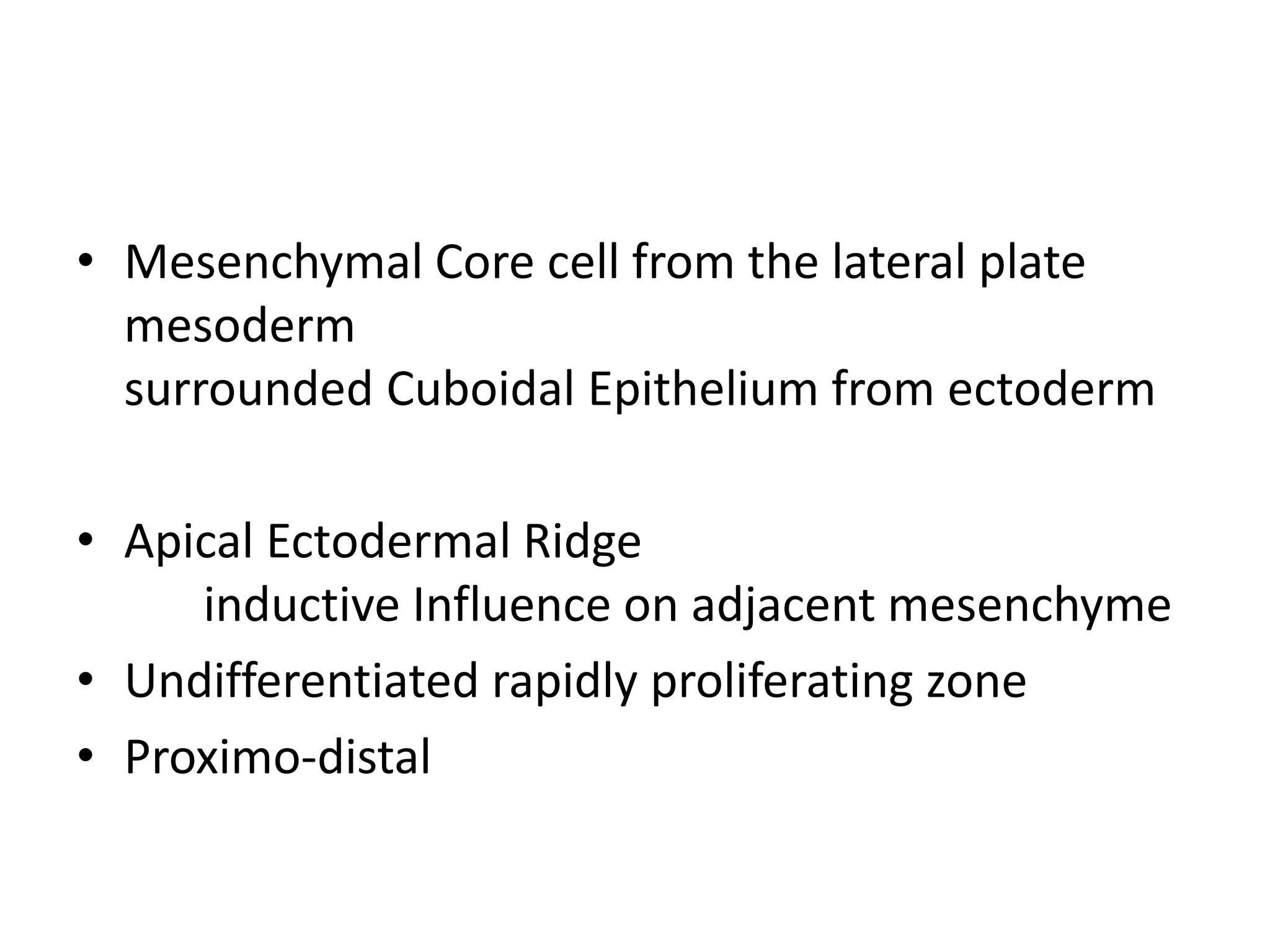 Development of Musculoskeletal system | PPTX