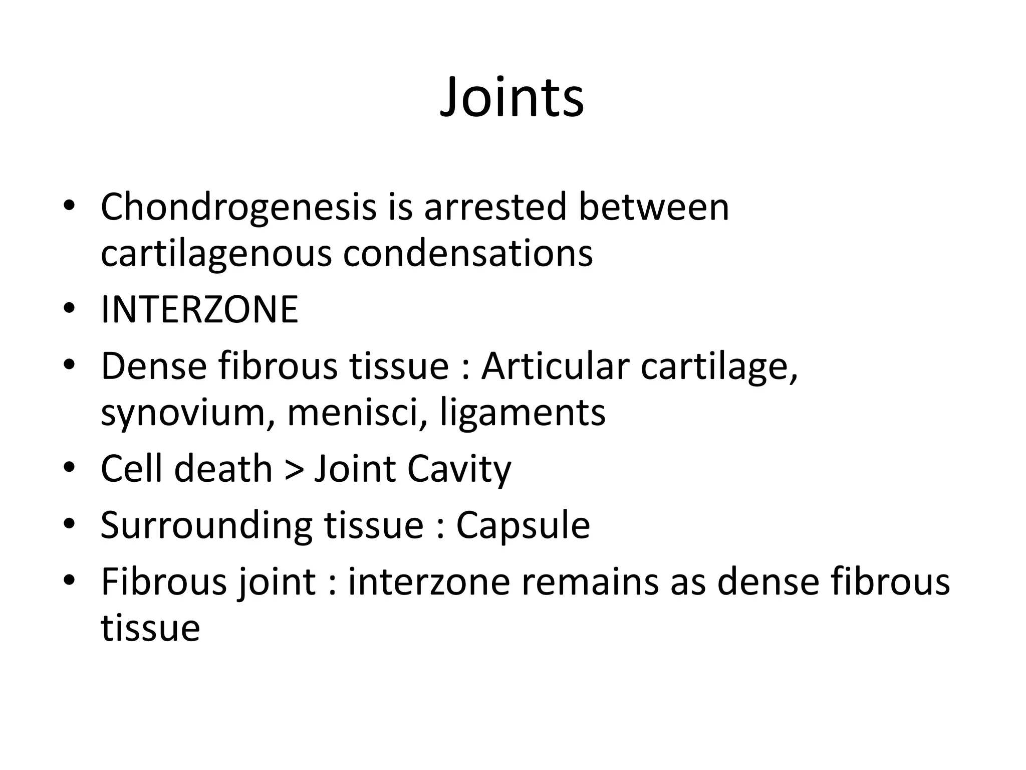 Development of Musculoskeletal system | PPTX