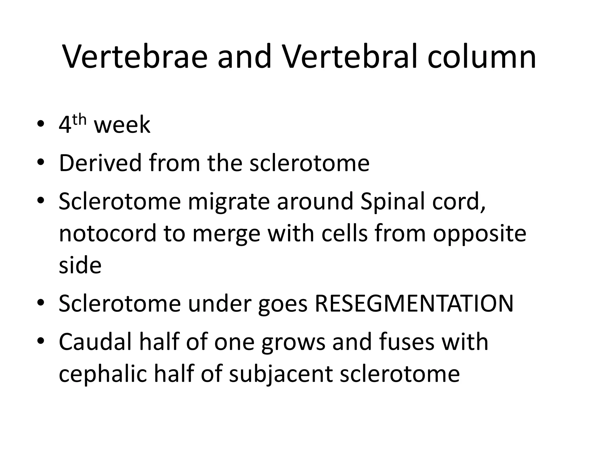 Development of Musculoskeletal system | PPTX