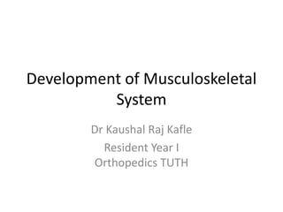 Development of Musculoskeletal system | PPTX