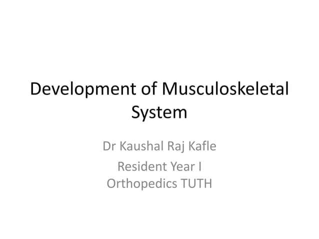 Development of Musculoskeletal system | PPTX