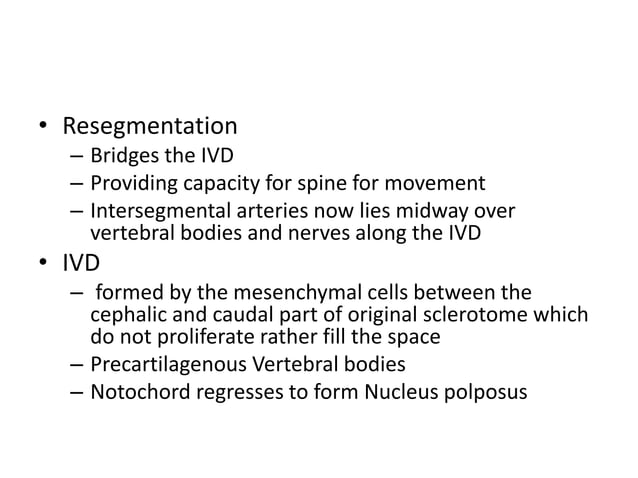 Development of Musculoskeletal system | PPTX