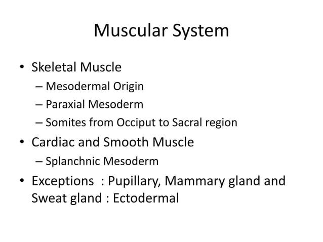 Development of Musculoskeletal system | PPTX