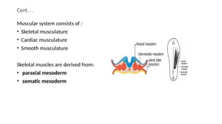 Development of MSK system by Dr. Rabia Inam Gandapore.pptx
