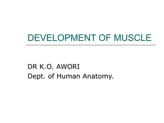 DEVELOPMENT OF MUSCLE EMBRYOLOGY OF MUSLCE | PPT