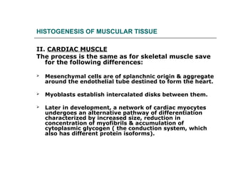 DEVELOPMENT OF MUSCLE EMBRYOLOGY OF MUSLCE | PPT