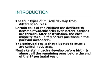 DEVELOPMENT OF MUSCLE EMBRYOLOGY OF MUSLCE | PPT