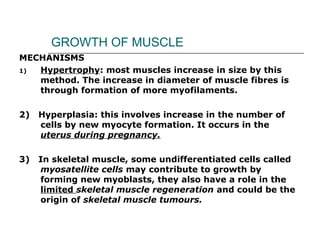 DEVELOPMENT OF MUSCLE EMBRYOLOGY OF MUSLCE | PPT