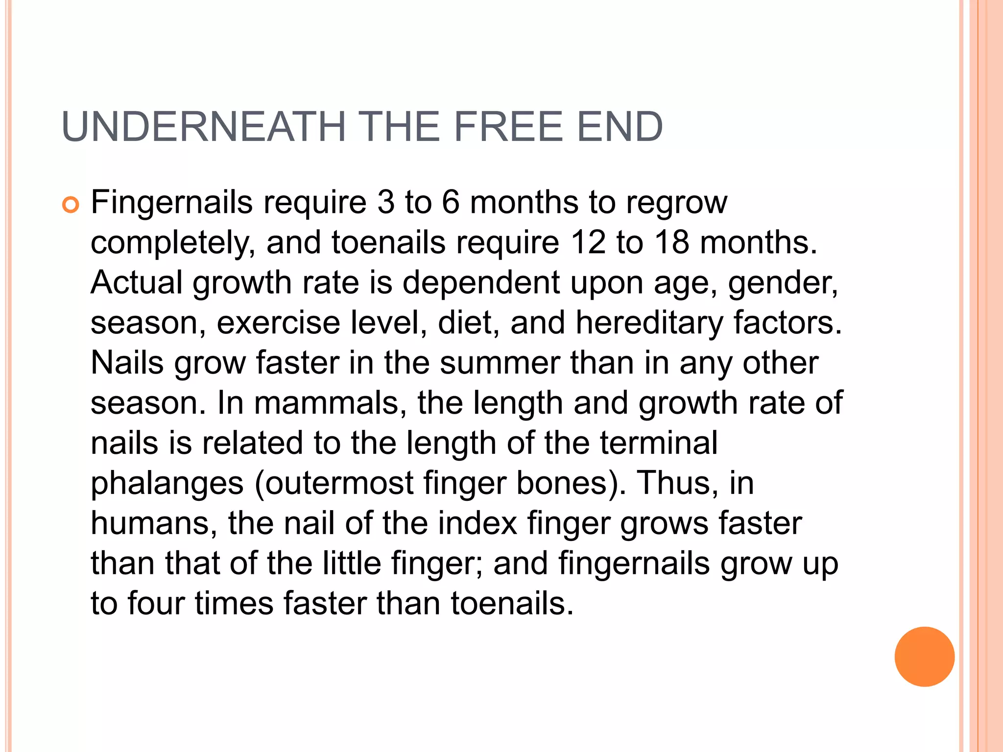 Development of nail | PPTX