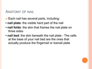 Development of nail | PPTX