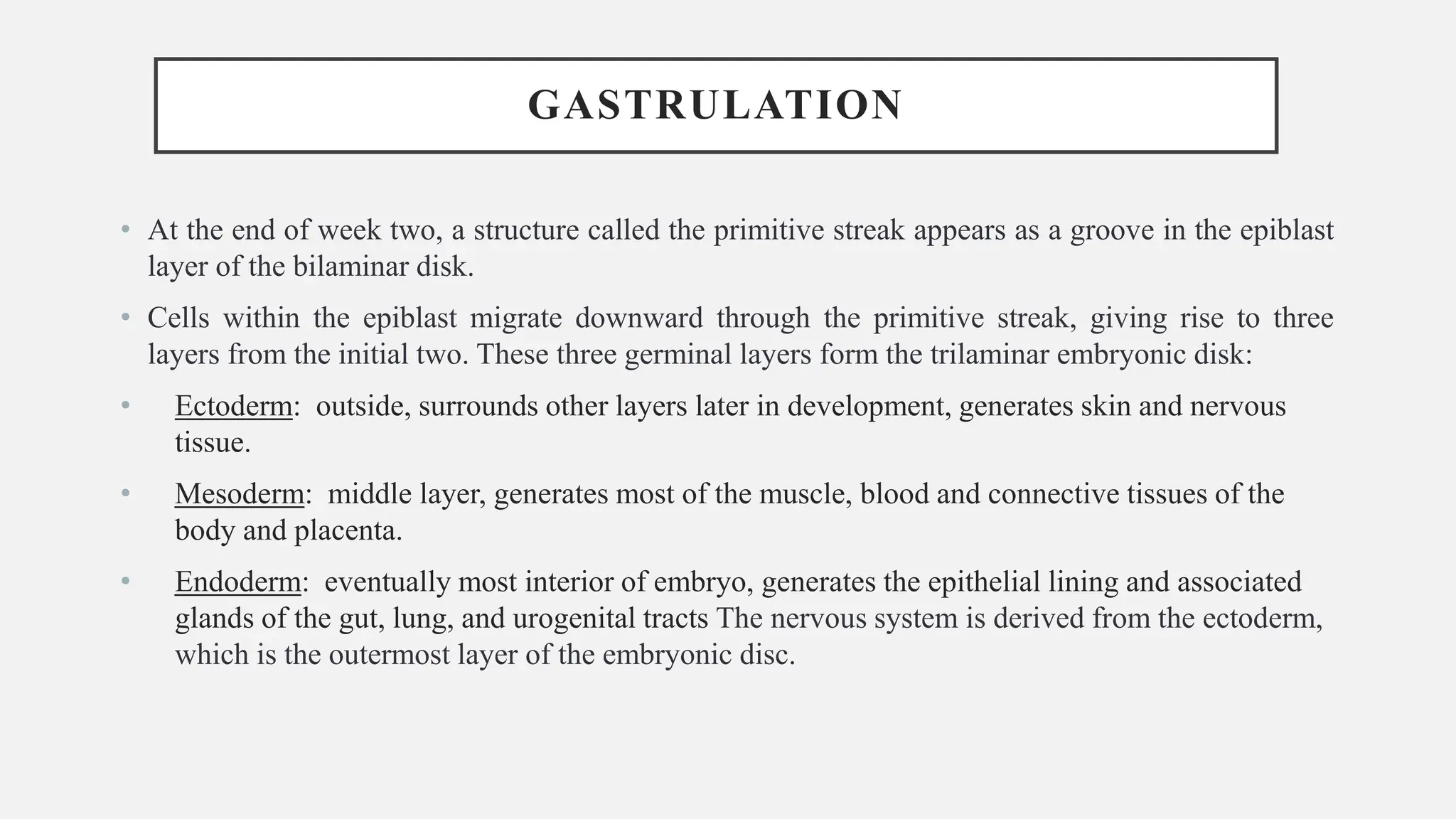 Development of nervous system.pptx