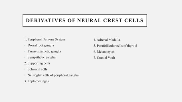 Development of nervous system.pptx