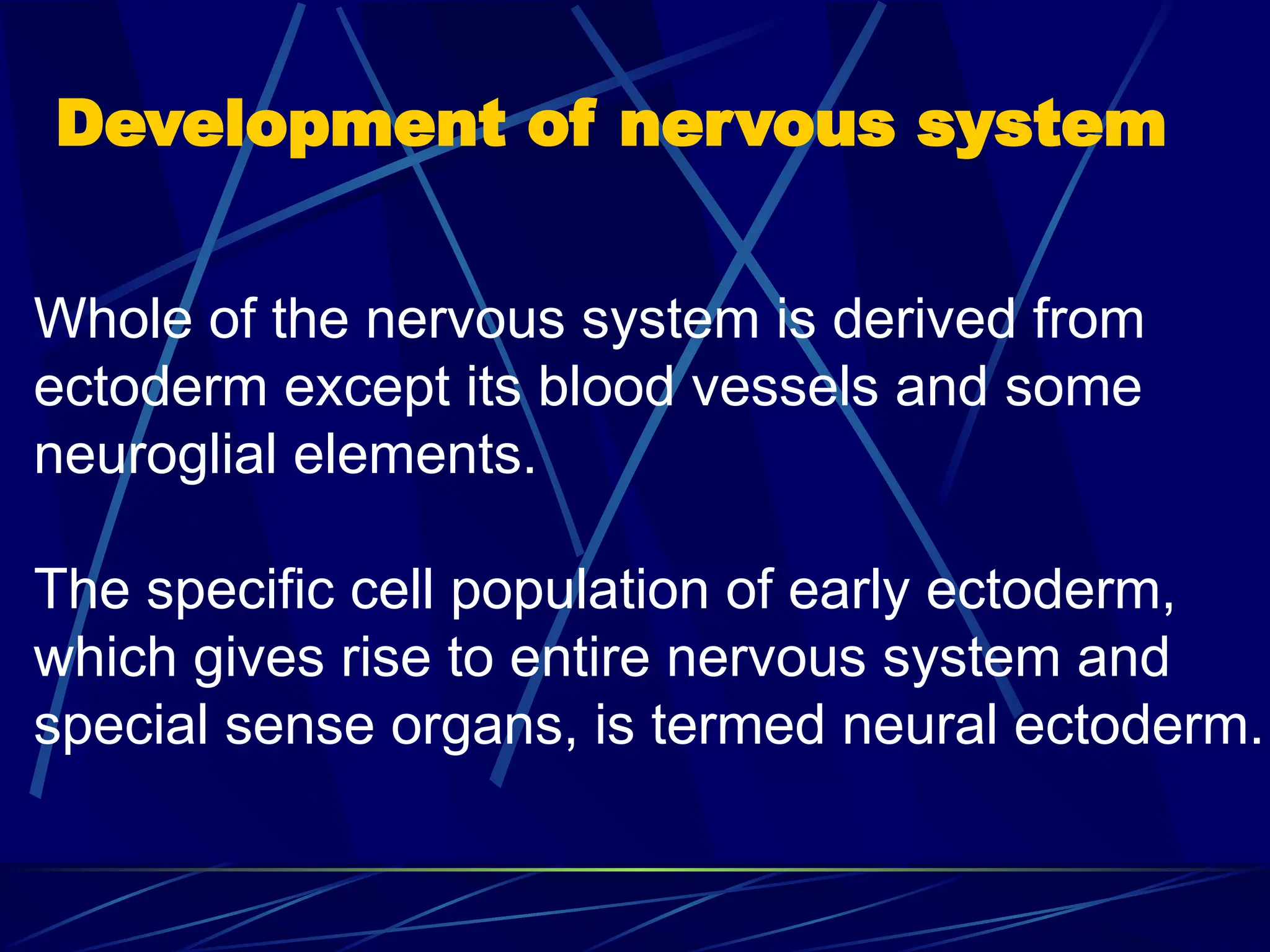 Development of nervous system - Copy (1).pptx