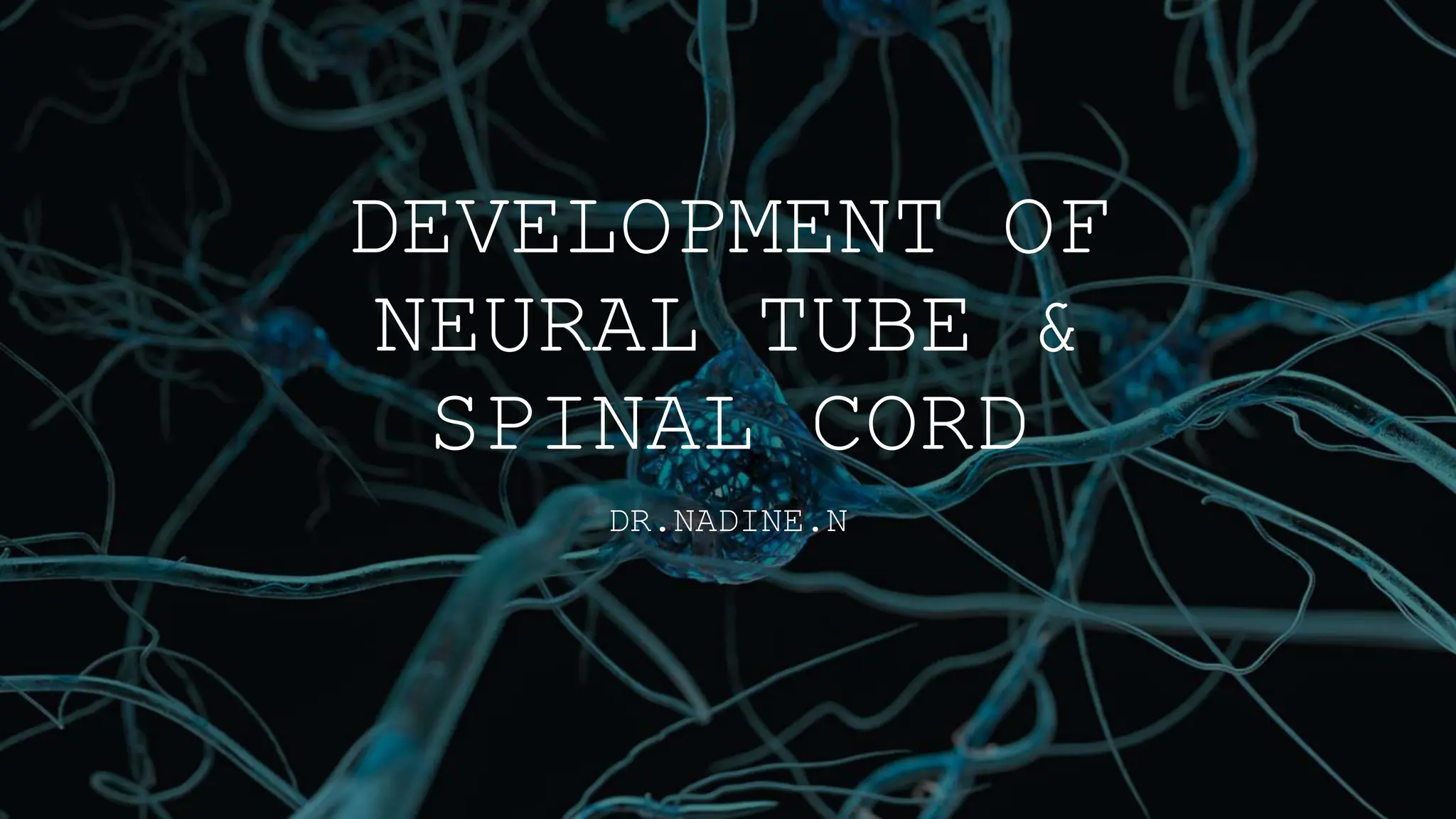 DEVELOPMENT OF NEURAL TUBE & SPINAL CORD.pptx