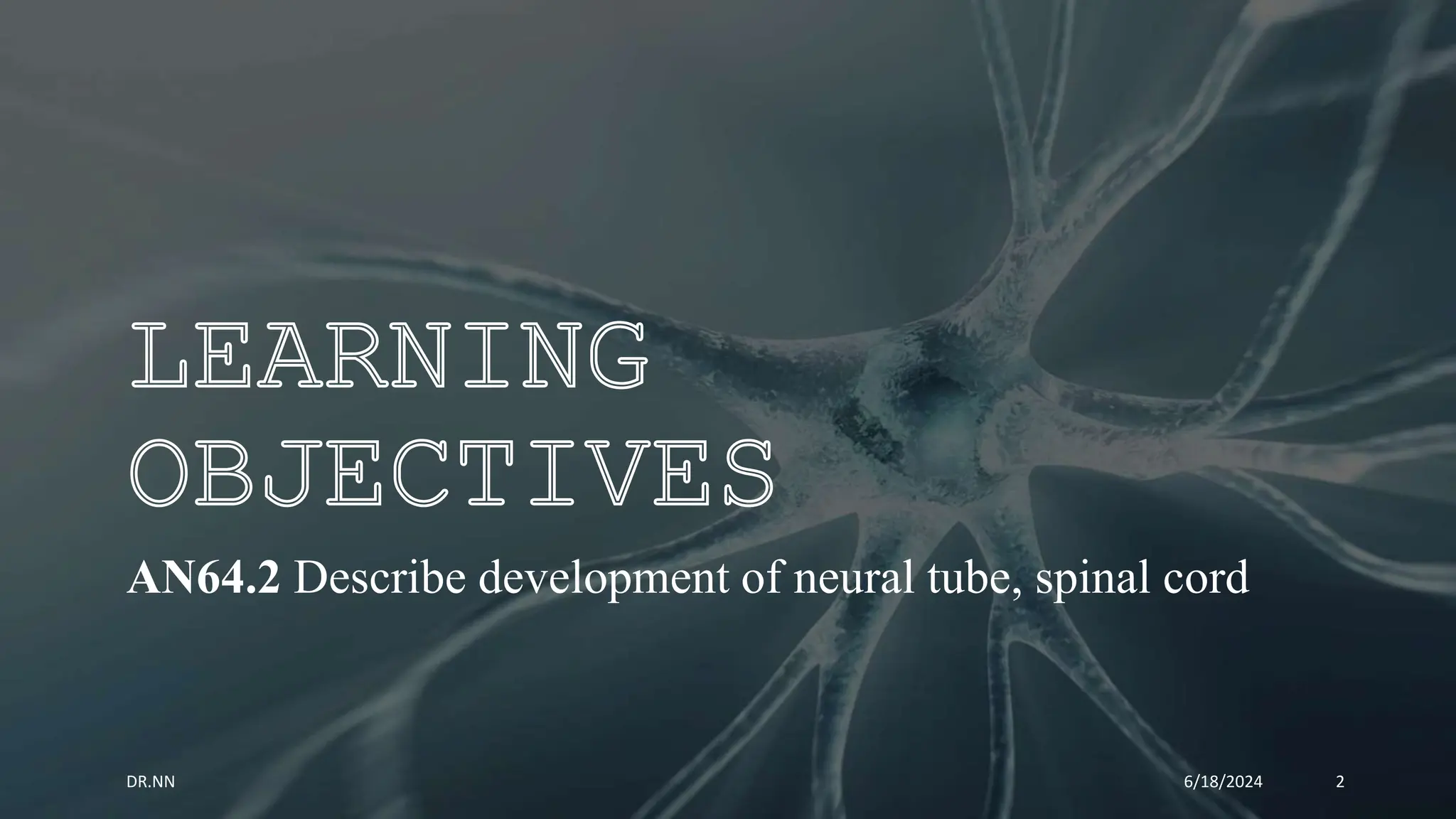 DEVELOPMENT OF NEURAL TUBE & SPINAL CORD.pptx